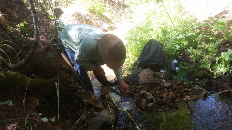 Gold Panning Utah | A Guide to Gold Panning in Utah