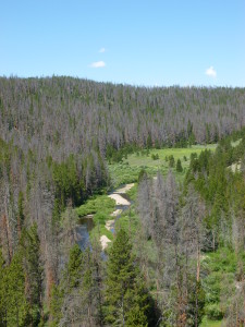 Gold Panning Utah | A Guide to Gold Panning in Utah